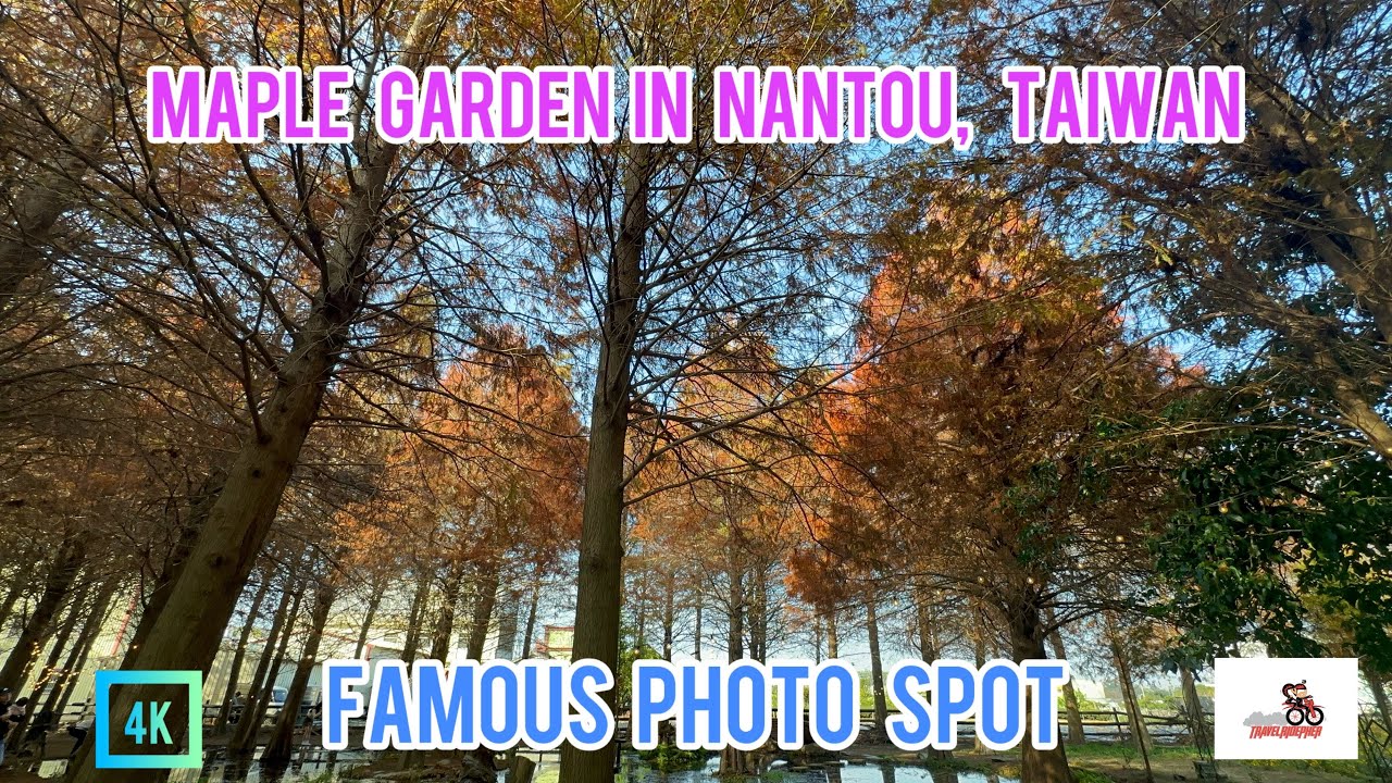 🍁 Beautiful Maple Garden in Nantou – Taiwan’s Hidden Autumn Wonderland ...