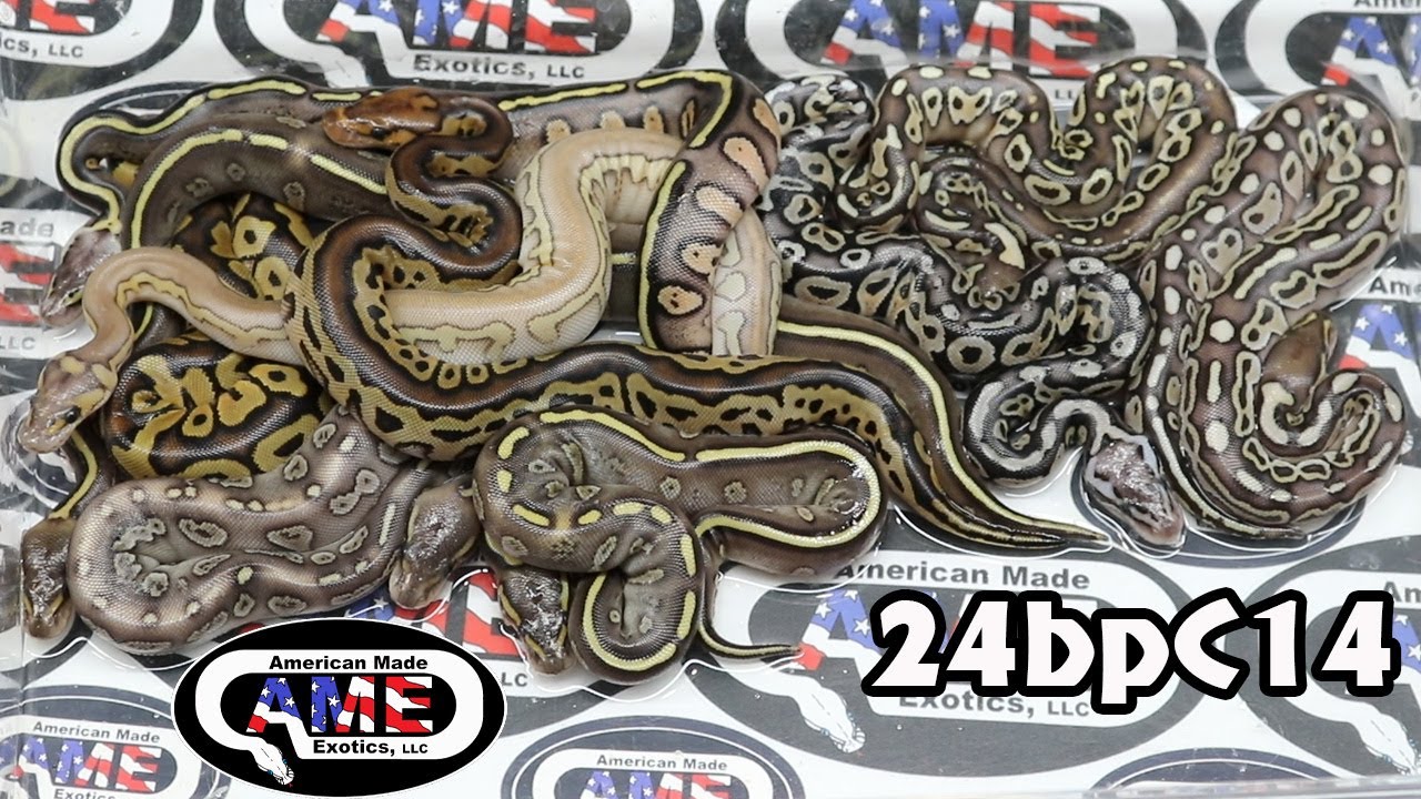 24bpC14 fm Pastel HRA Het Clown x m Clown Stranger Lesser - YouTube