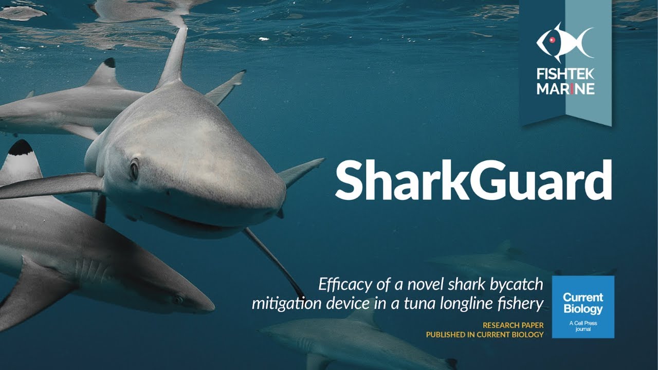 SharkGuard: Efficacy of a novel shark bycatch mitigation device in a ...
