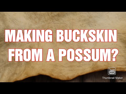 Making Buckskin From a Possum - YouTube