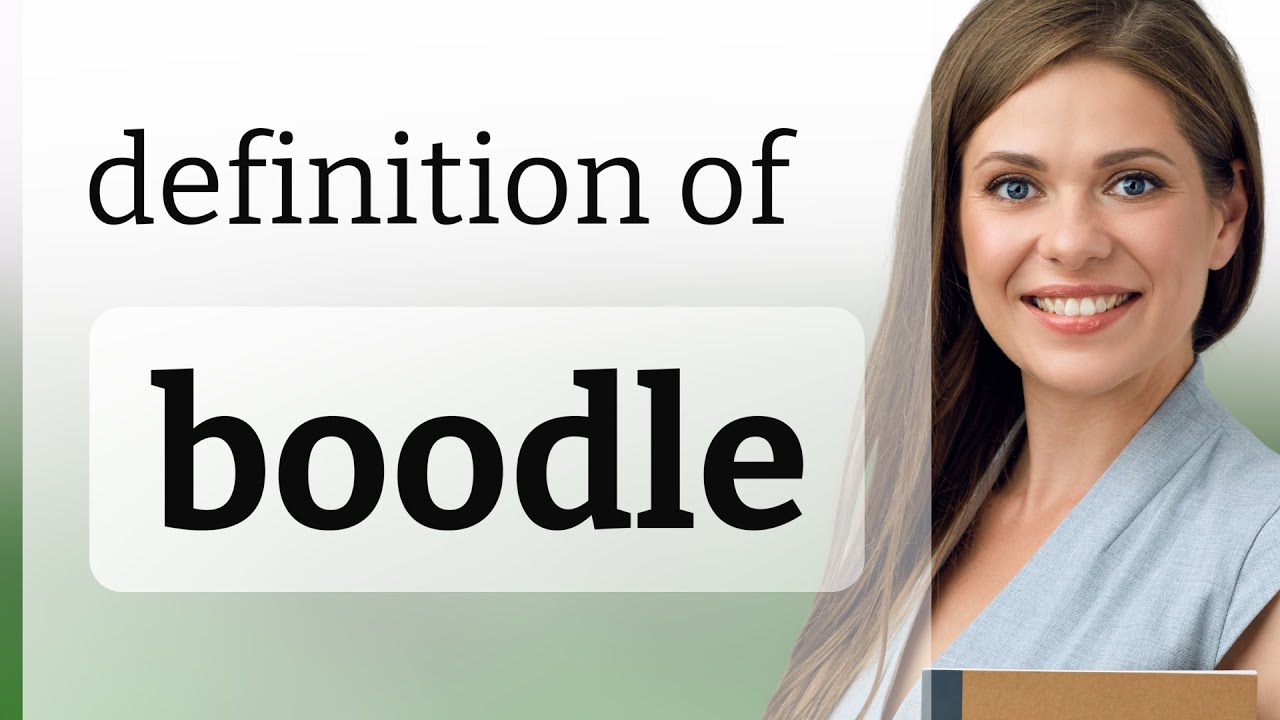 Boodle • what is BOODLE meaning - YouTube