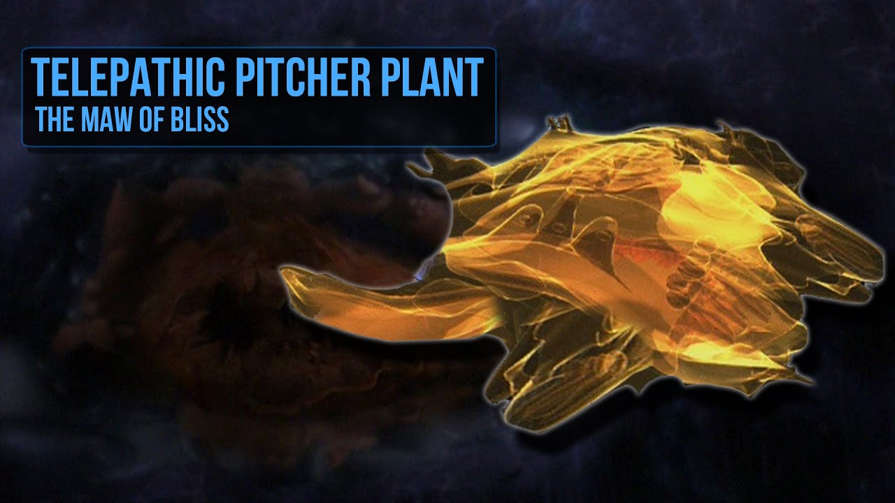 Telepathic-Pitcher-Plant: Star Trek Bestiary - YouTube