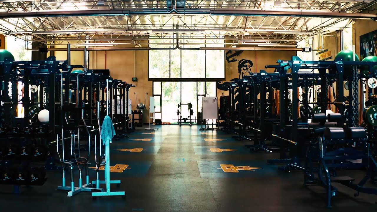 UC San Diego Athletics: 19-20 Rewind - YouTube