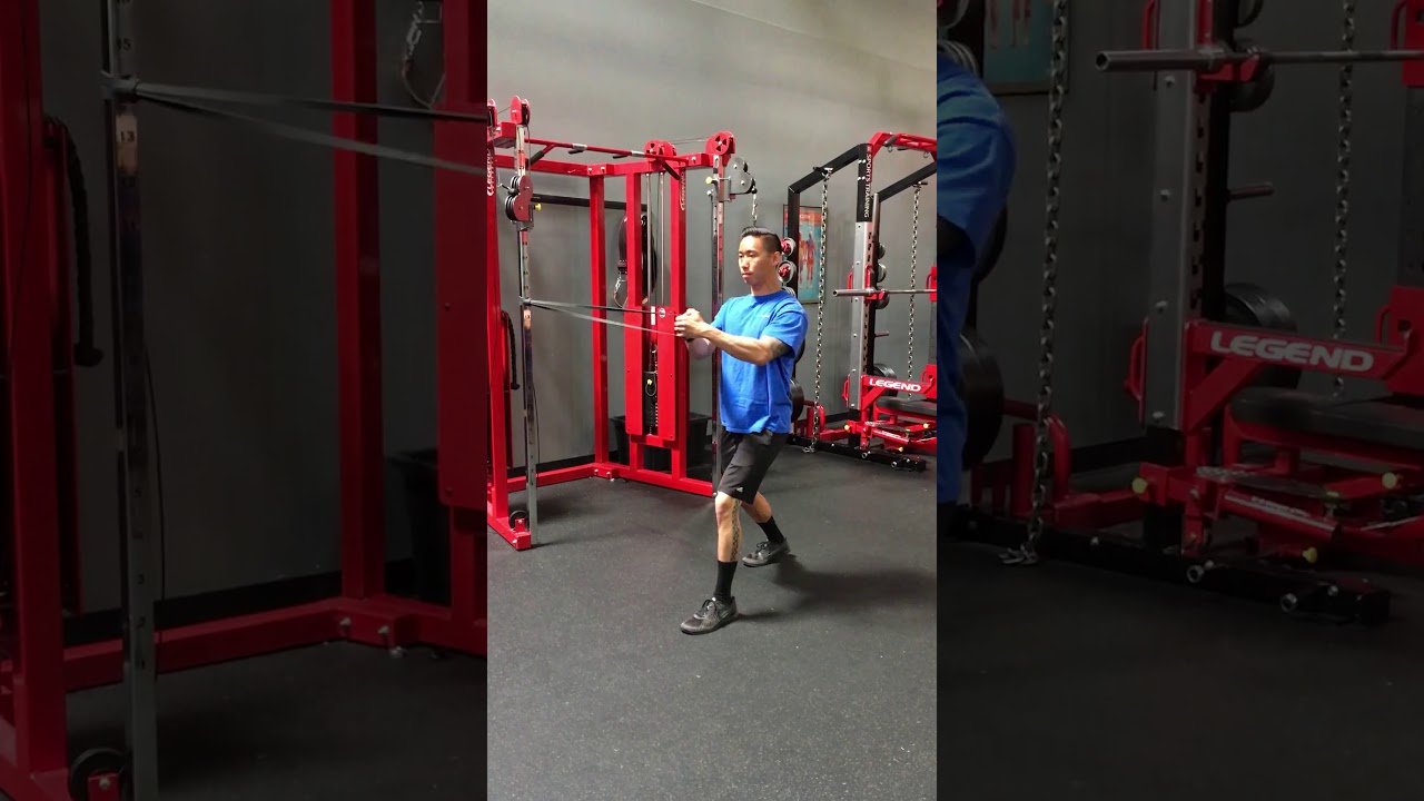 Split Stance Band Pallof Press - YouTube