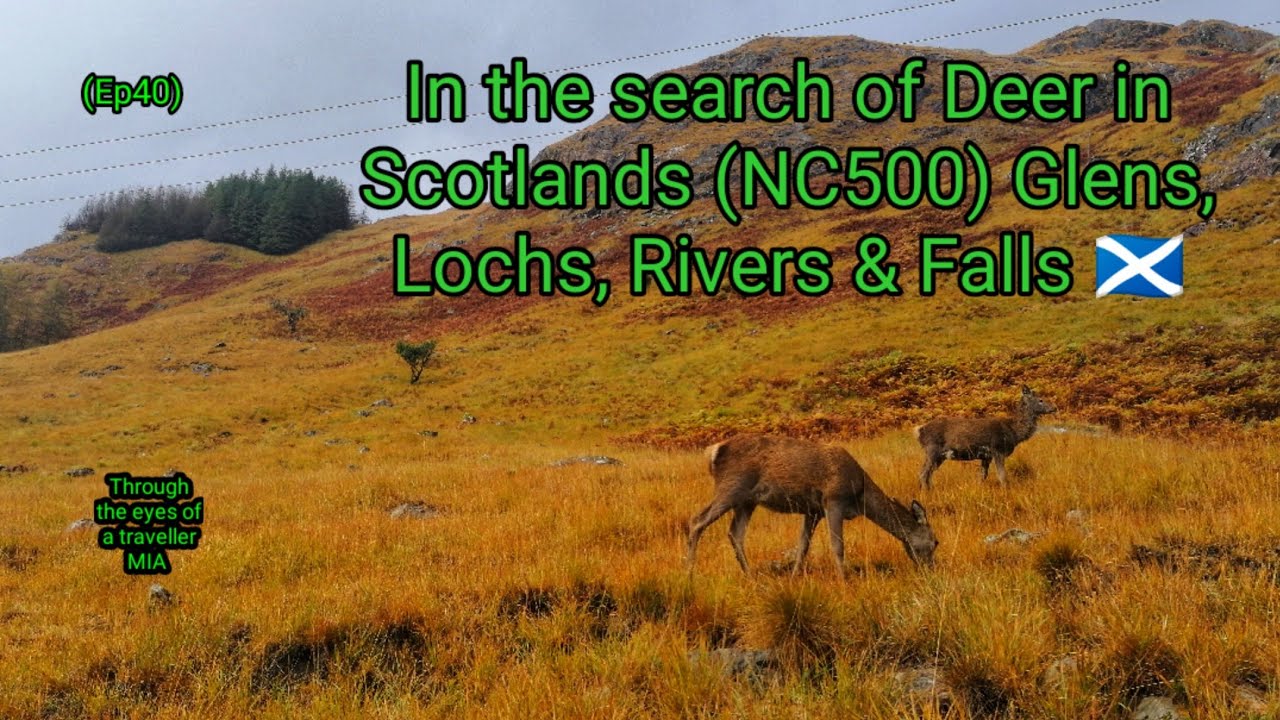 North Coast 500 tour of Scotland | #NC500 | Deer search in Glen #Etive ...