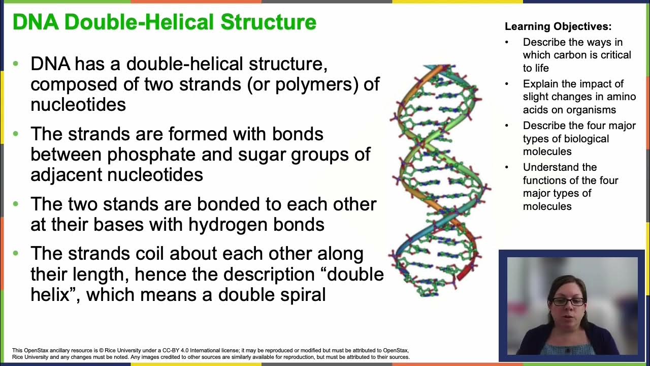 Openstax Concepts Of Biology Chapter 2 3 Part 5 Youtube