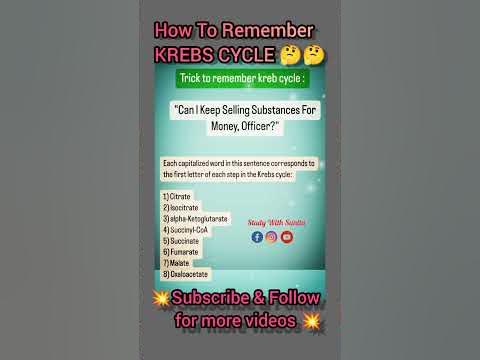 Trick To Remember KREBS CYCLE || How to remember KREBS CYCLE #krebscycle #shorts #tricks #howto ...