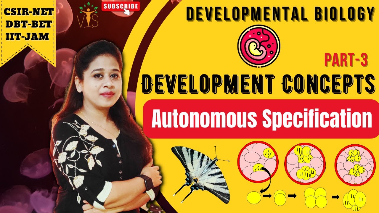 Development Concepts | Autonomous Specification Developmental Biology ...