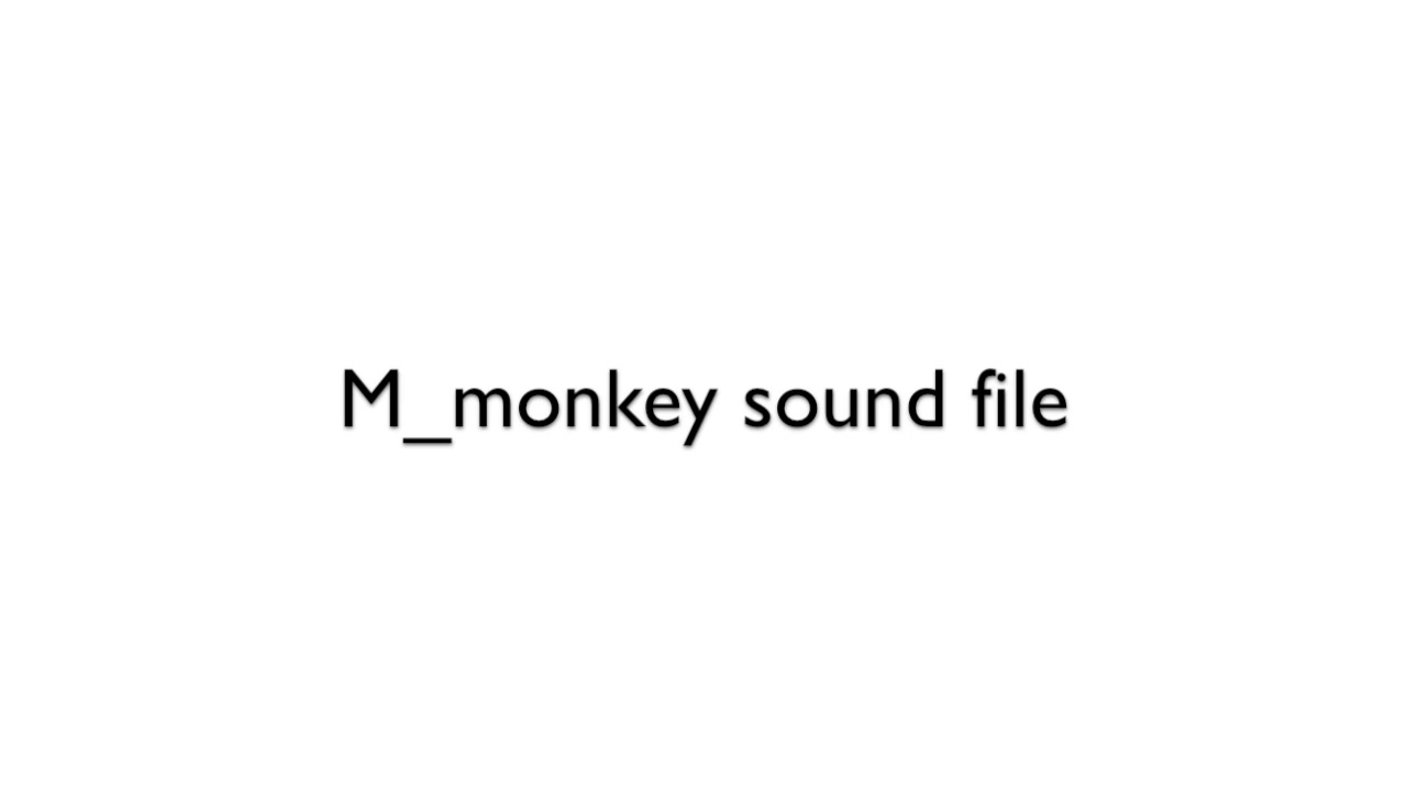 MH_monkey, /mʌŋki/ - YouTube