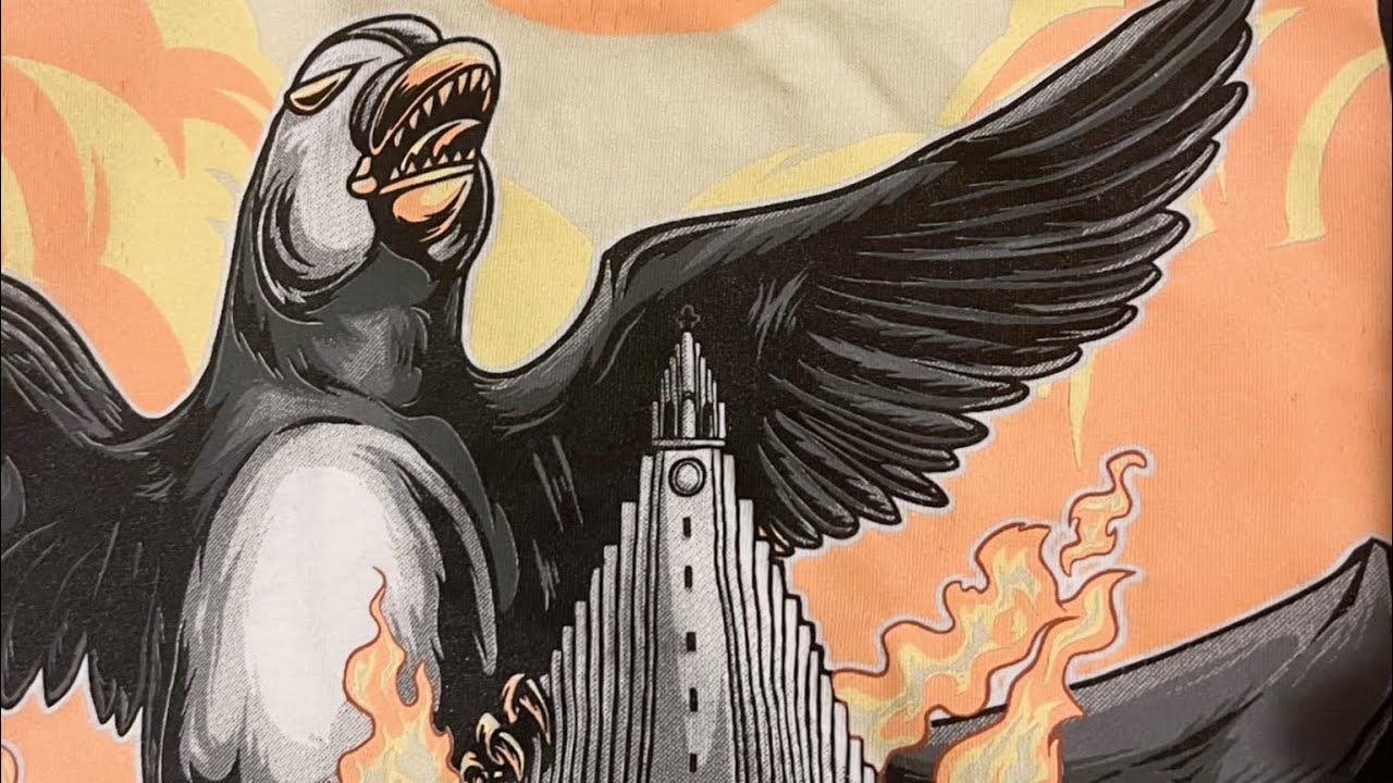 Shocktech SFL shooting - YouTube