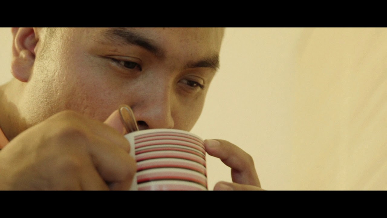 Dairy Champ - What Makes A Champion? - YouTube