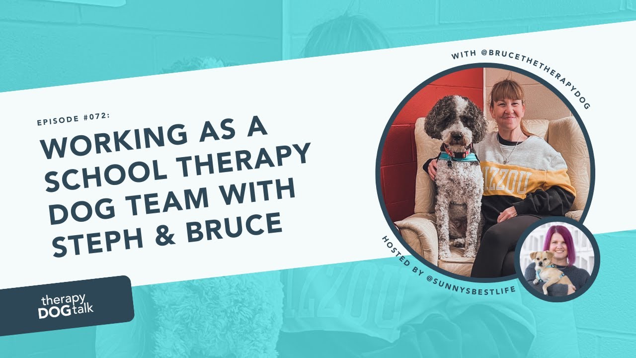 #072: Working as a School Therapy Dog team with Steph & Bruce - YouTube