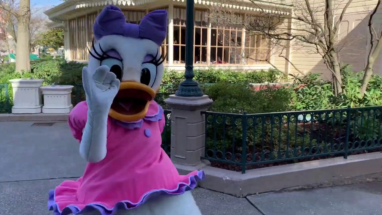 °o° The Fabulous Daisy Duck ! - YouTube