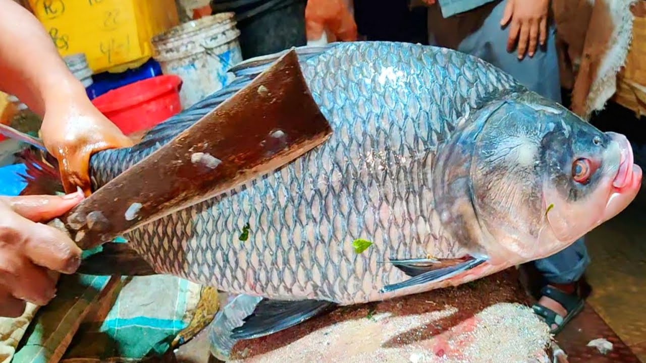 Super Fish Cutting Skills | Giant Catla Carp Fish Cutting In Local Fish ...