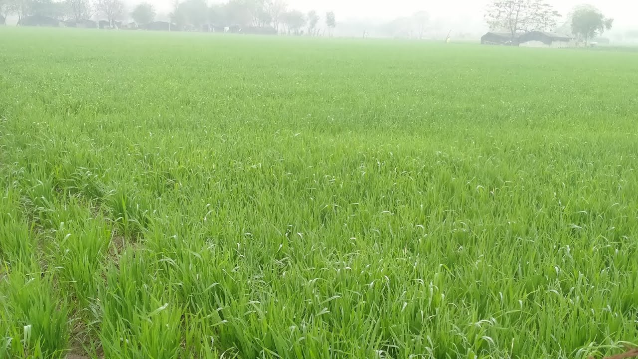 Dharm ka arth / meaning of dharma - YouTube