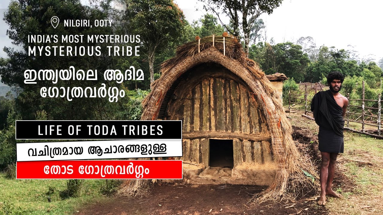 LIFE OF TODA TRIBES | ഇന്ത്യയിലെ ആദിമ ഗോത്രവർഗ്ഗം | INDIA'S MOST ...