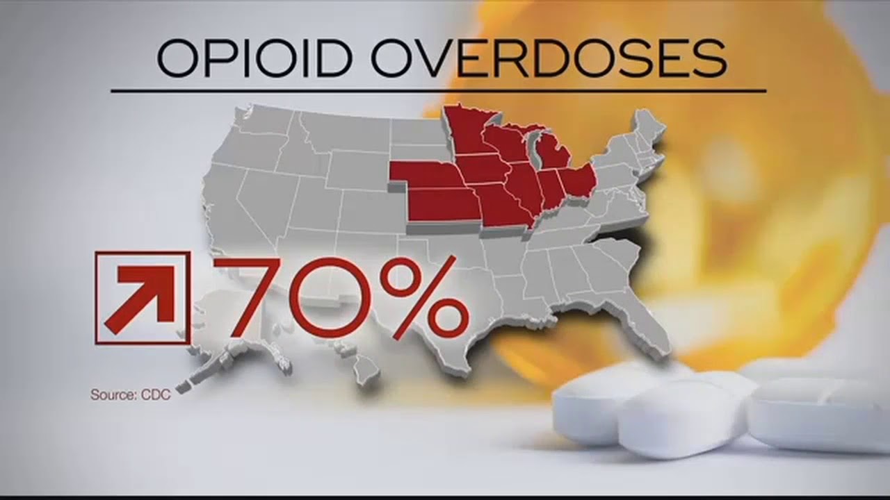 CDC: Opioid overdoses kill almost 5 people every hour in the U.S. - YouTube