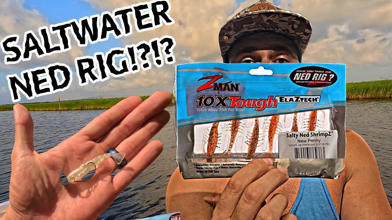 NED RIG for SALTWATER?? Z-Man Salty NED Shrimp Review - YouTube
