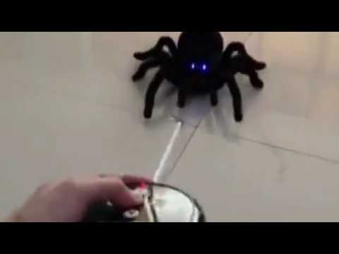 HAPYBAS Akıllı Uzaktan Kumandalı Tarantula Akıllı Örümcek