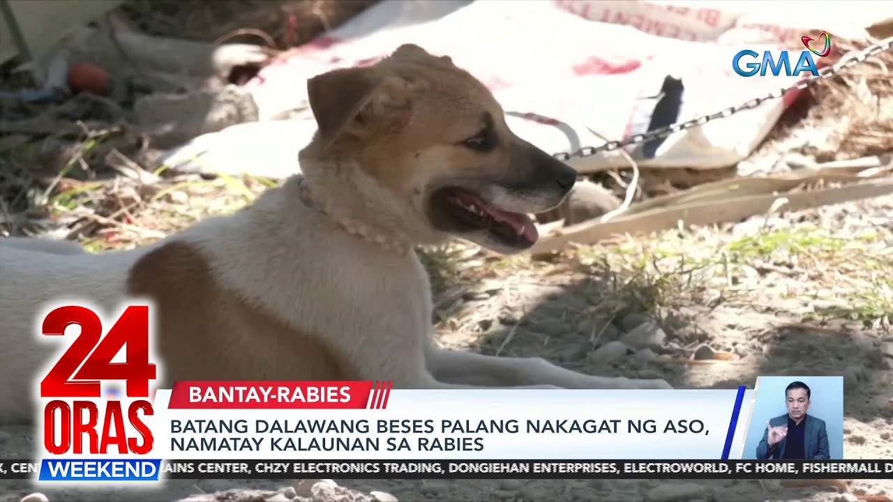 Batang dalawang beses palang nakagat ng aso, namatay kalaunan sa rabies ...