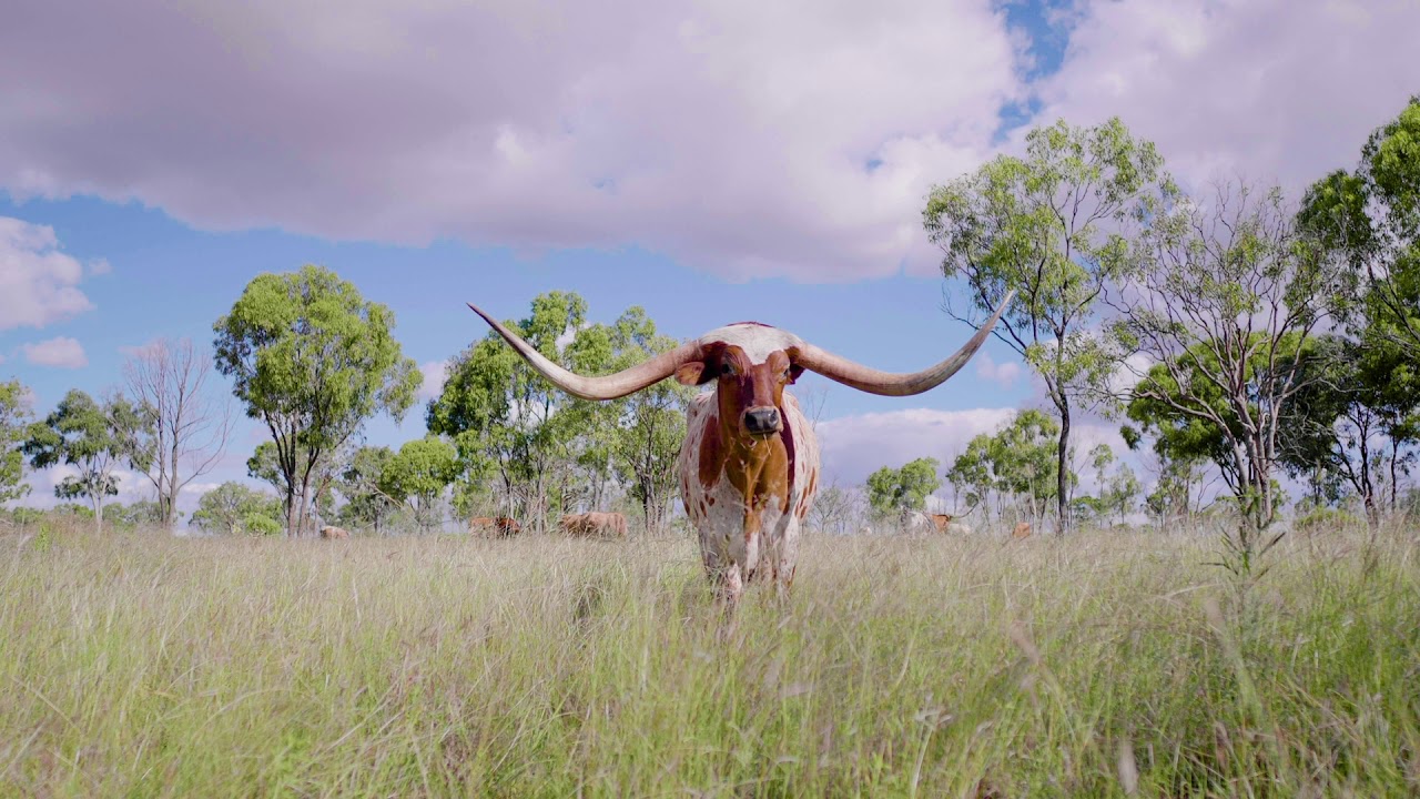 Download the Overlanders Way adventure map - YouTube