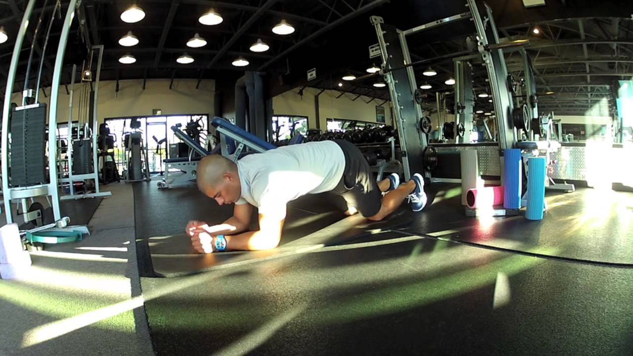 Advanced Dynamic Core Plank with Opposite Arm and Leg Raise Strength ...