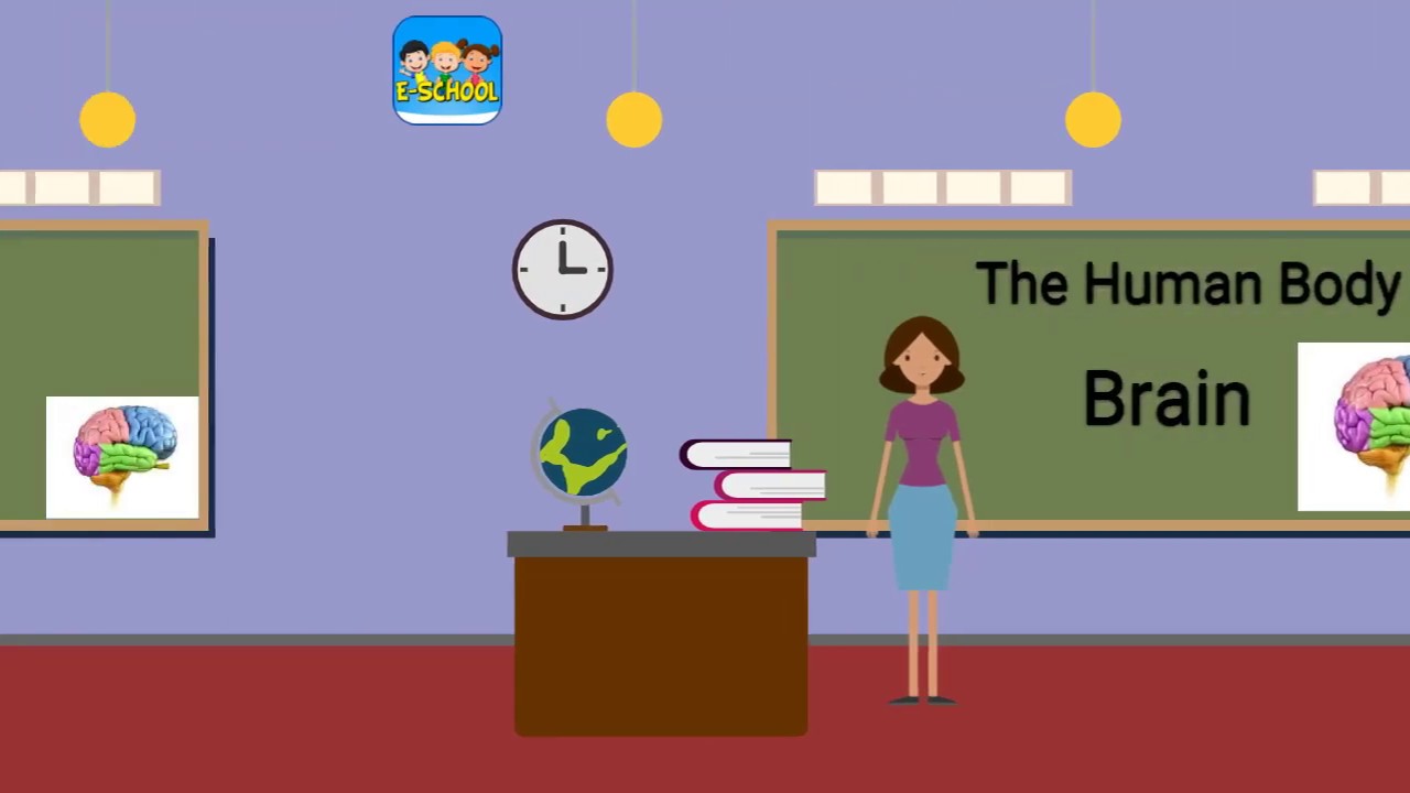 Grade 2 | Subject: Science | Topic: Brain (How it controls Body ...