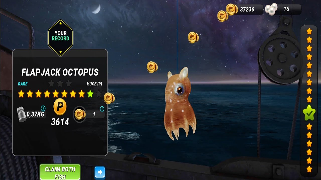 New Fish: Flapjack Octopus - Fishing Clash Gameplay Ep366 - YouTube