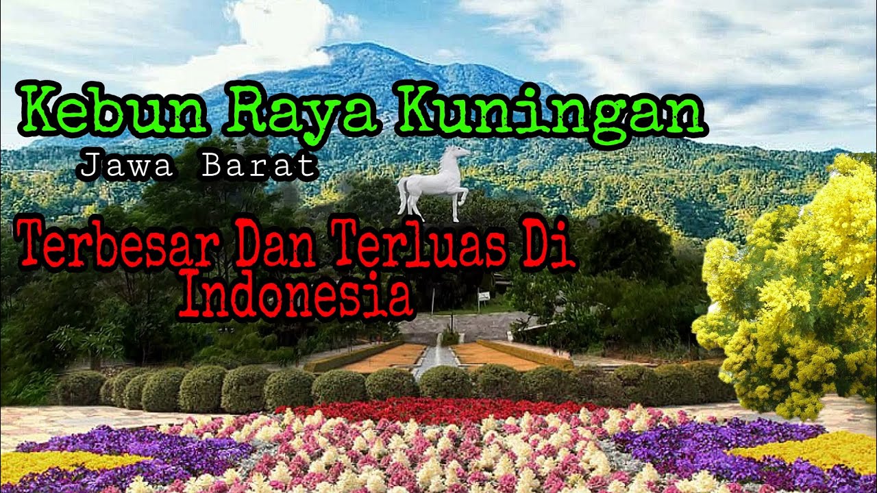 Kebun Raya Kuningan Jawa Barat Terluas Dan Terbesar Di Indonesia - YouTube