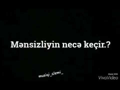 Dunyaya bir de gelseydin yene tek quyub gederdin?