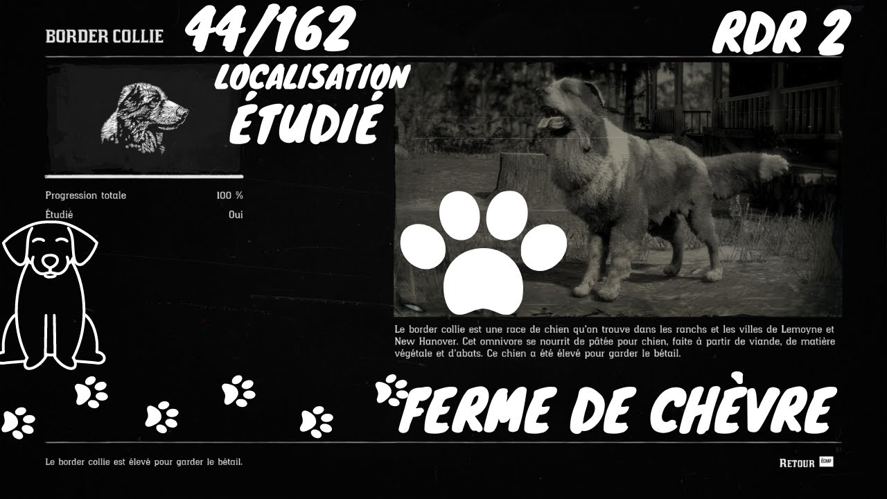 Tout Les Animaux: 44/162 Le Border Collie (Localisation) Red Dead ...