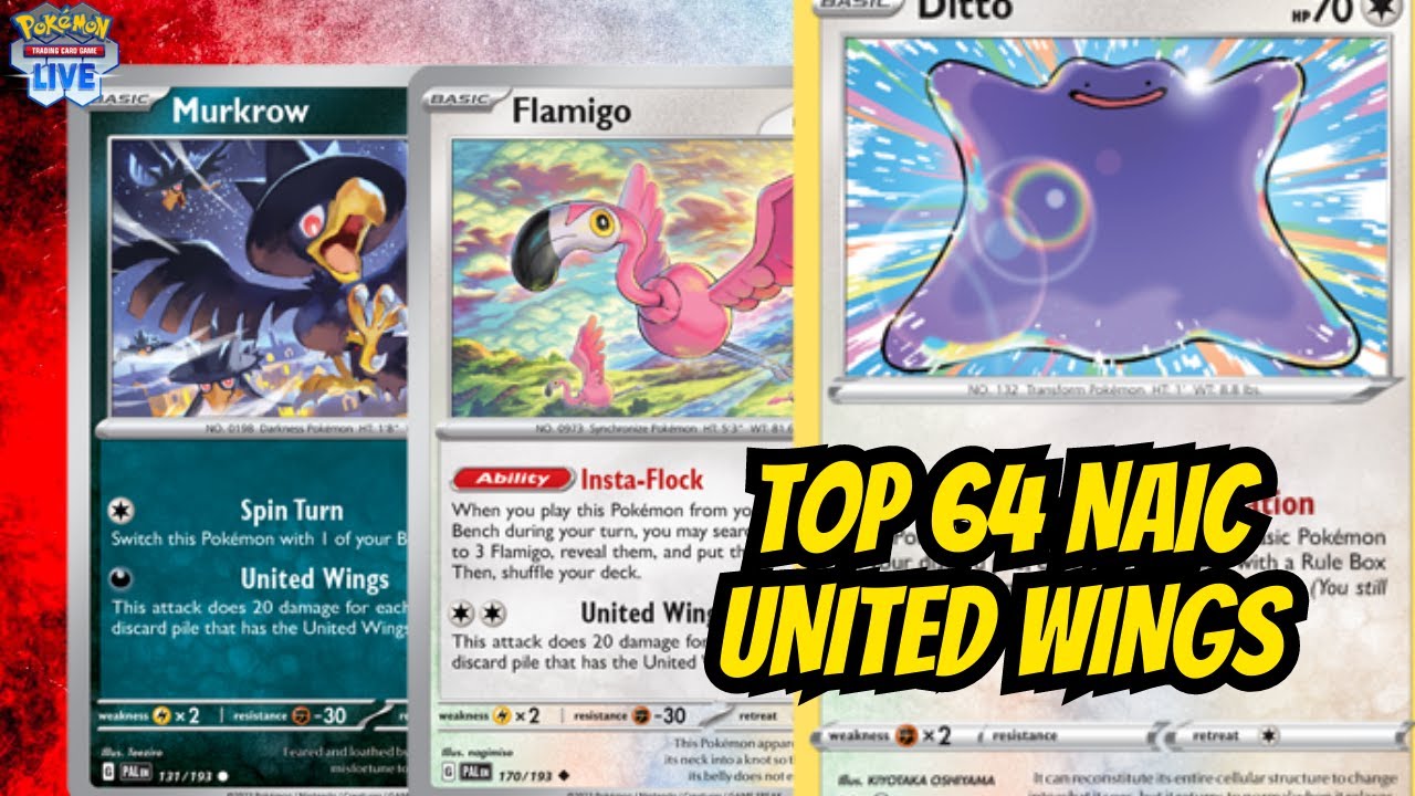 Top 64 NAIC United Wings Deck Profile | Pokemon Trading Card Game Live ...