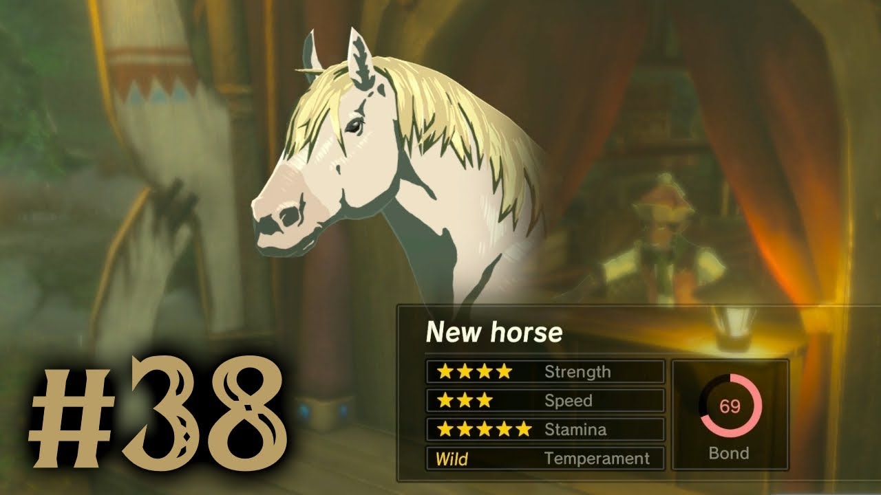 #38: The Royal Steed - Breath of the Wild 100% Walkthrough (NS2) - YouTube