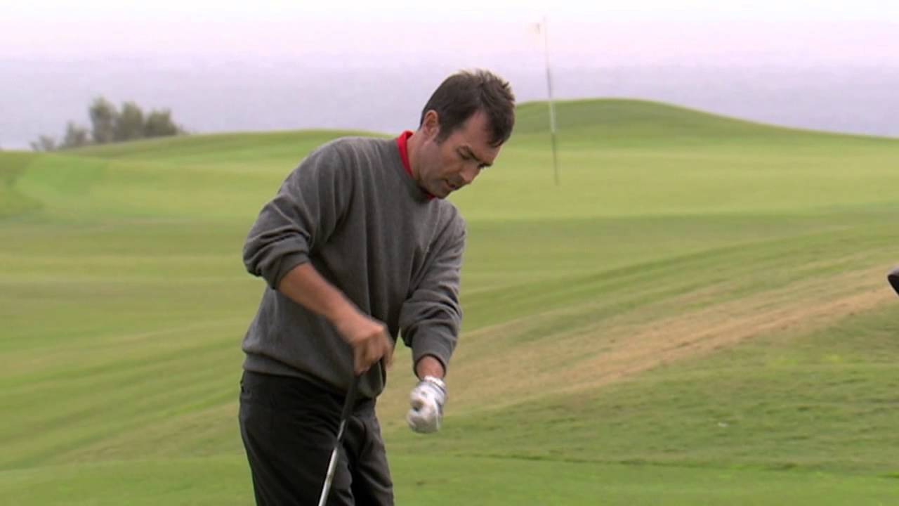 The Swing Arm Reference - YouTube