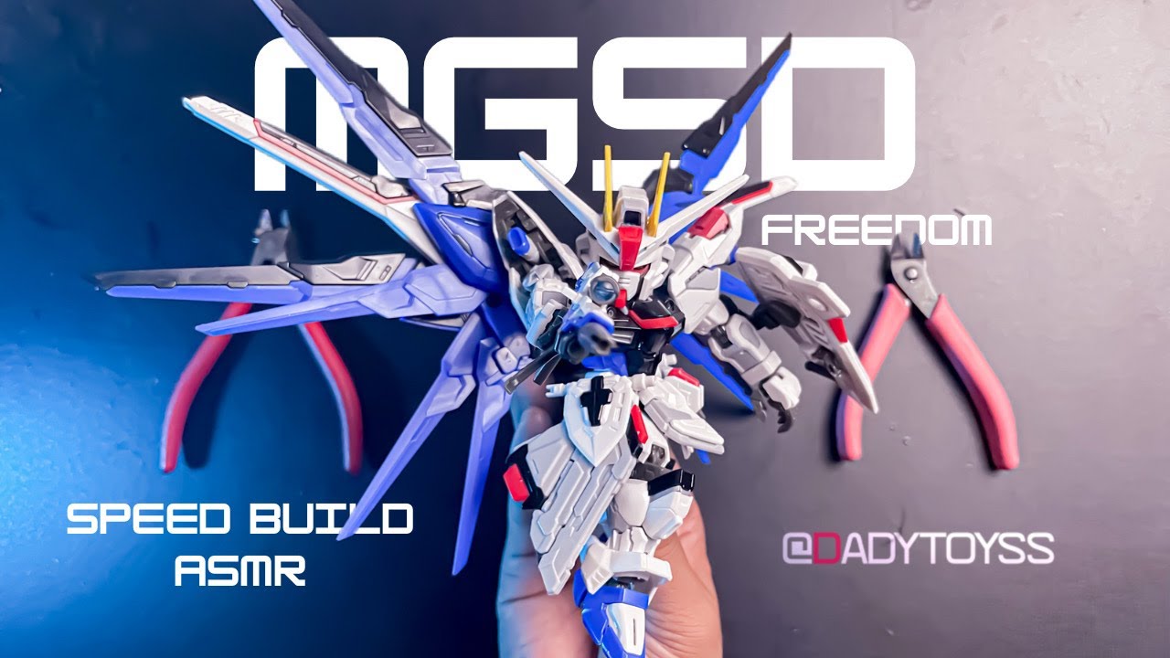 SPEED BUILD ASMR | GUNDAM FREEDOM MGSD | GUNDAM SEEDS | BEAT BUILD ...