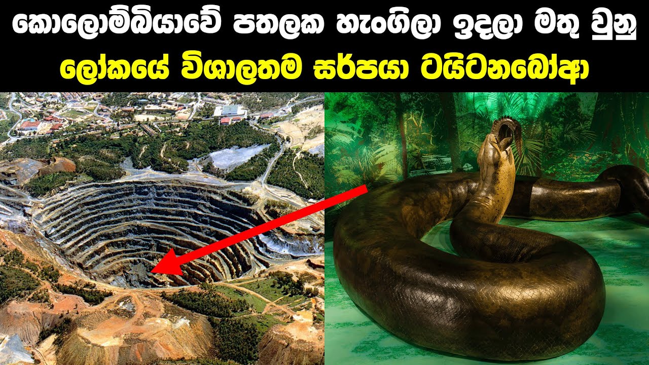 World Biggest Snake Titanoboa - YouTube