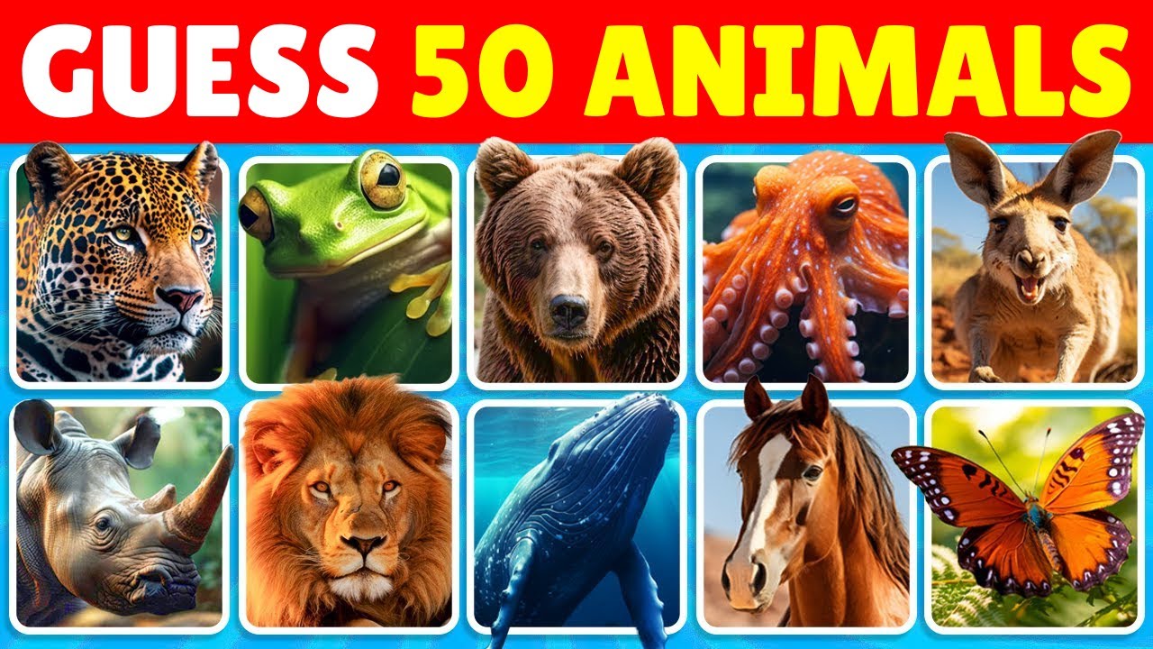 Guess The Animals in 3 Seconds | Easy, Medium, Hard, Impossible - YouTube