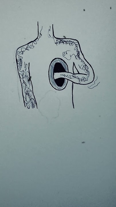 رسم تعبيري - YouTube