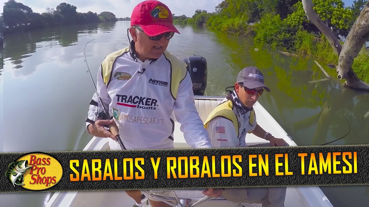 Recuento de Sábalos y Robalos con Pedro Sors Jr. en el Río Tamesí - YouTube