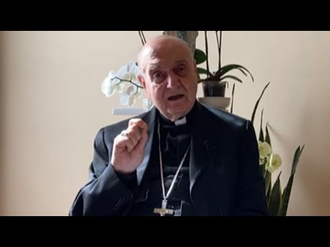 XVII Domenica del Tempo Ordinario - Card. Angelo Comastri - YouTube