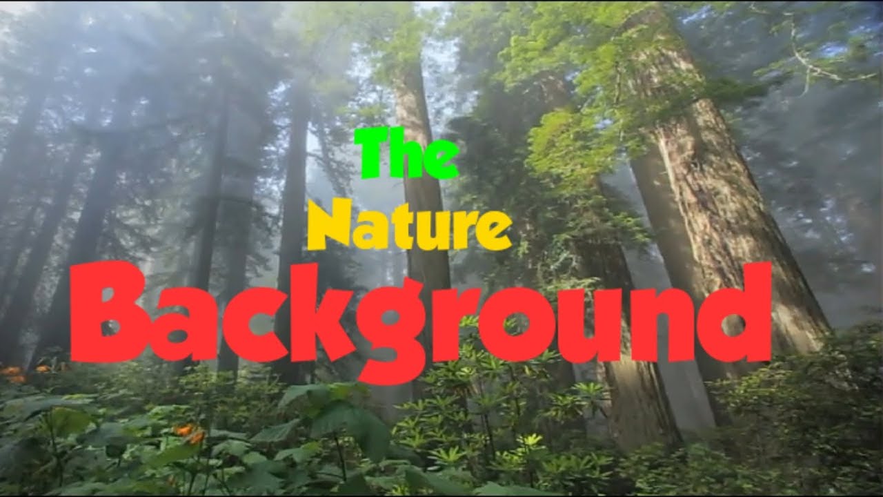 Beautiful Nature Background || cinematic Video|| - YouTube