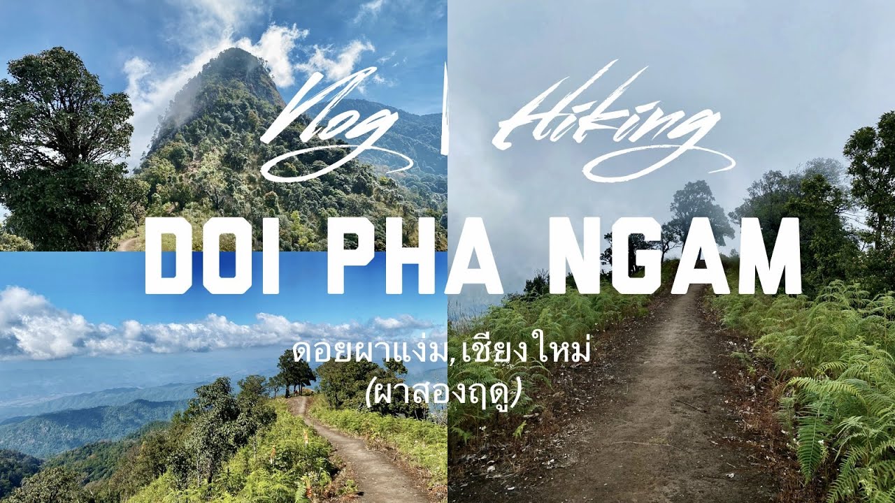 VLOG| Doi Pha Ngam trail, Hikingดอยผาแง่ม ผาสองฤดูที่เชียงใหม่! ปีนเขา ...