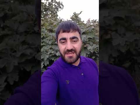 Şair Valeh Lerikli Azərbaycan xalqını və Kəlbəcərliləri təbrik etdi