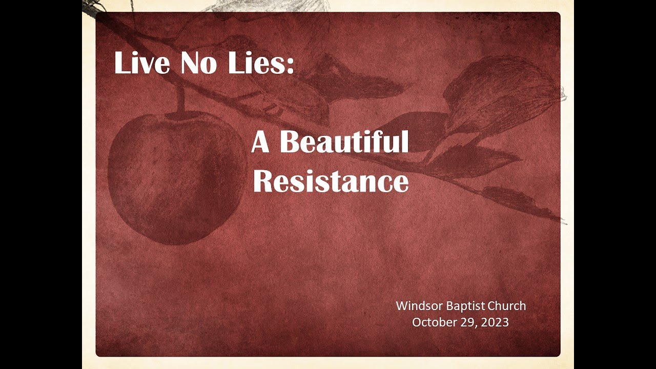 A Beautiful Resistance - YouTube