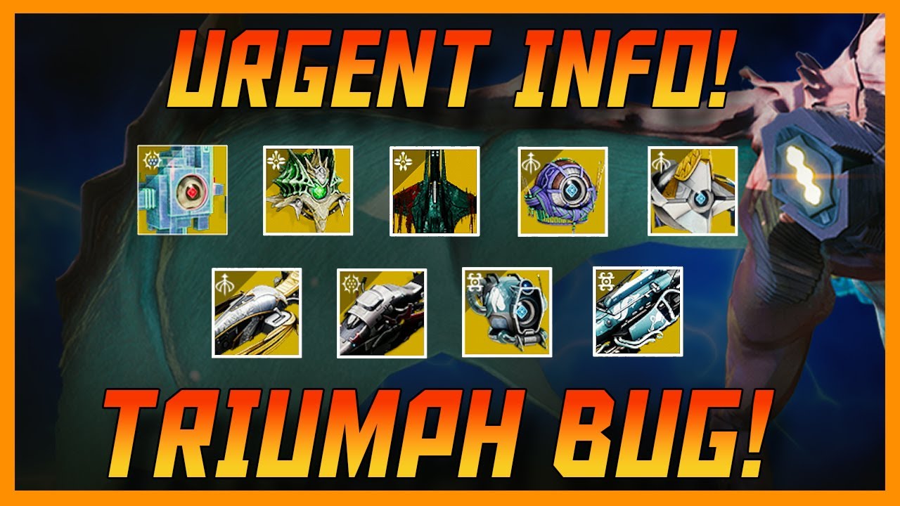 Destiny 2 - Triumph Bug Info! Don't Forget These Exotics! - YouTube