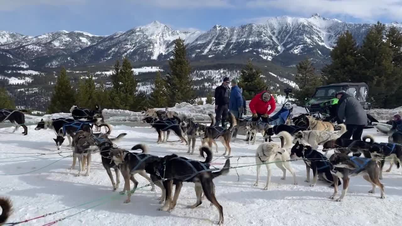 Spirit of the North Sled Dog Adventures offers a howling good time in ...