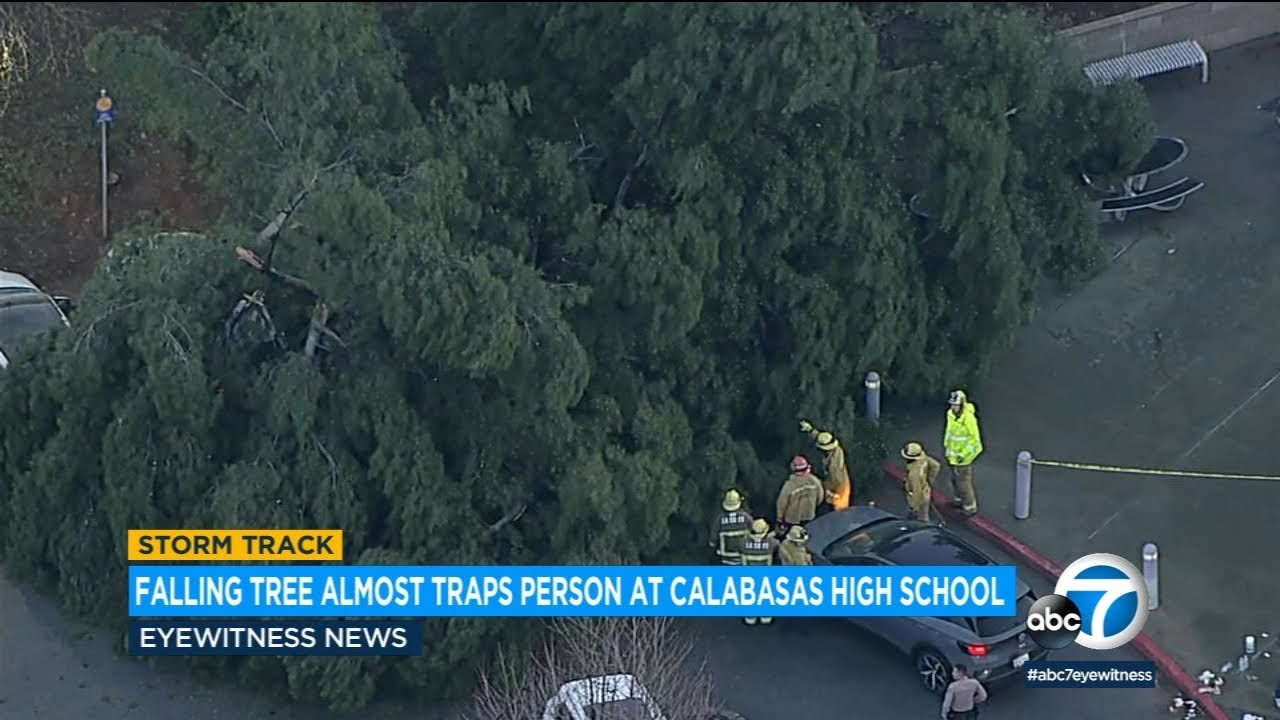 Person rescued from falling tree outside Calabasas High School - YouTube