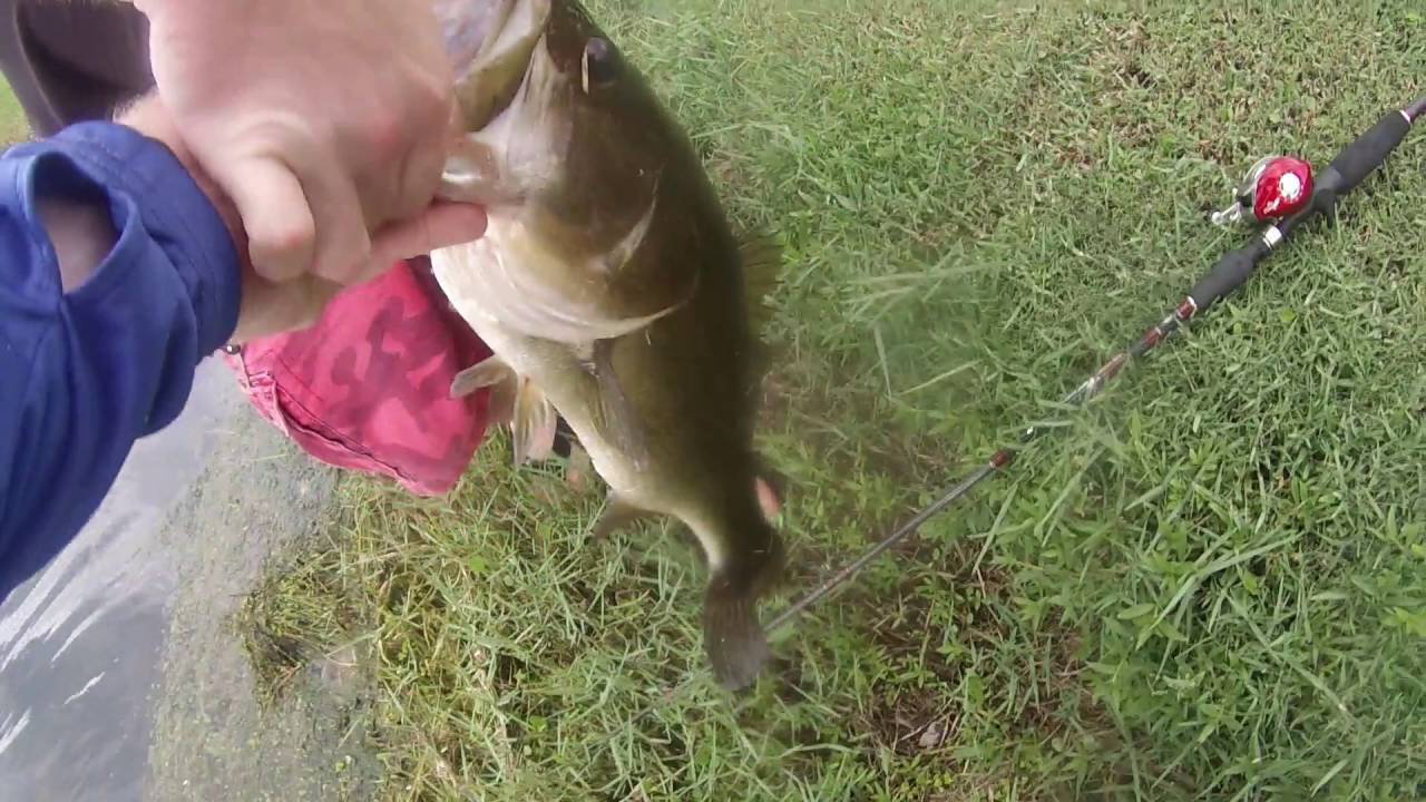 KastKing Stealth And DoomsDay Turtle does it again GolfCourse Bass ...