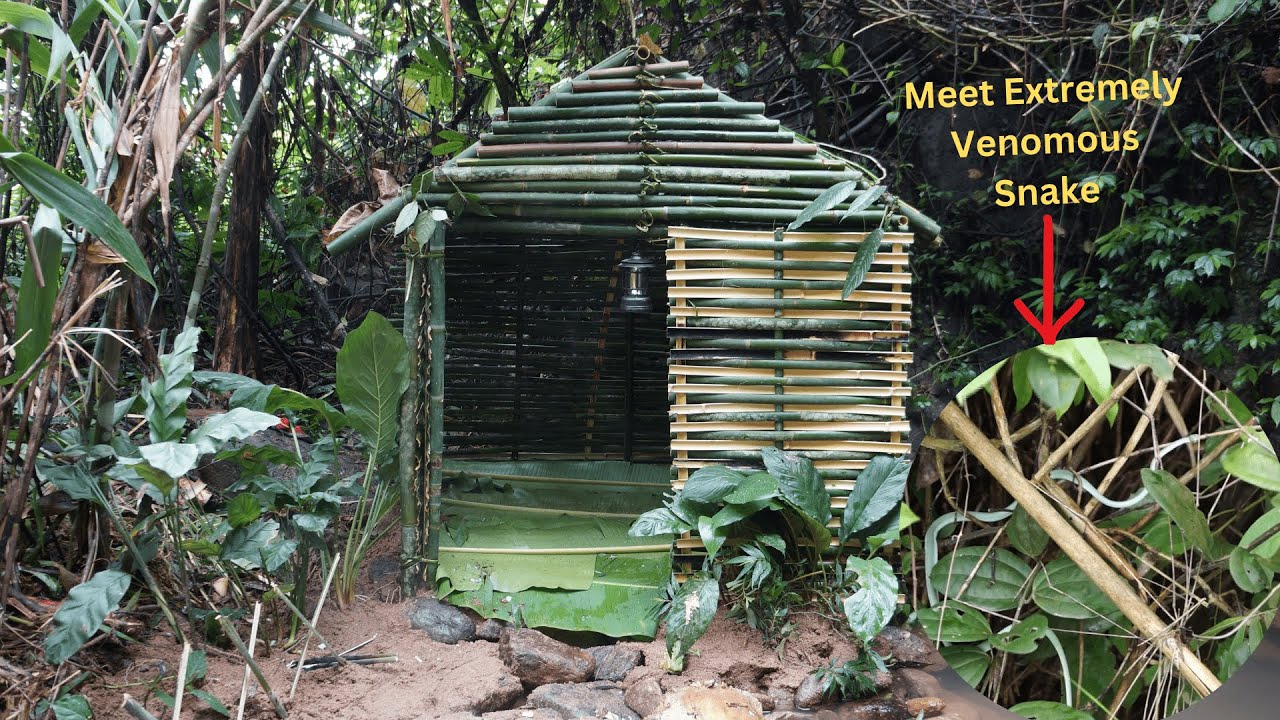 7 days of survival alone in the jungle,and encountering extremely poisonous snakes/bushcraft ...