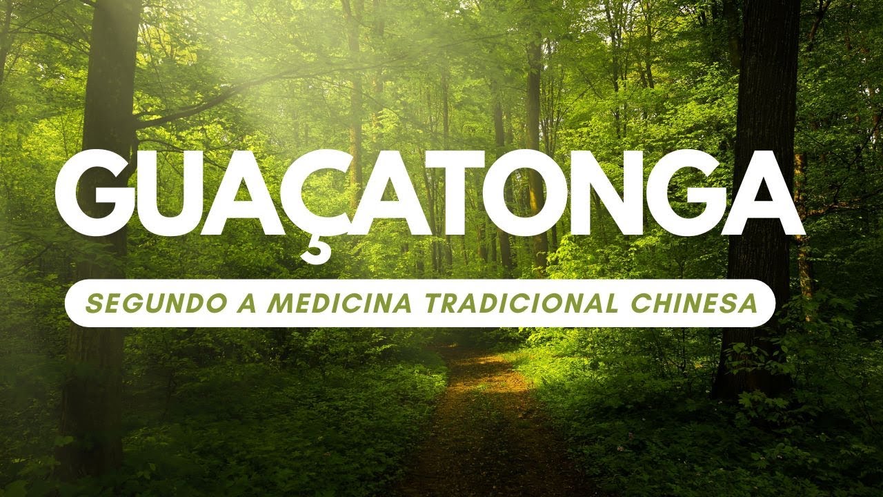 GUAÇATONGA - Segundo a Medicina Tradicional Chinesa! - YouTube